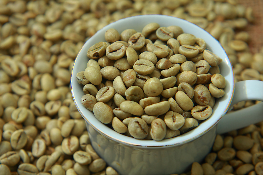 Siatec Brasil | Green Coffee Classification: Understanding the Process