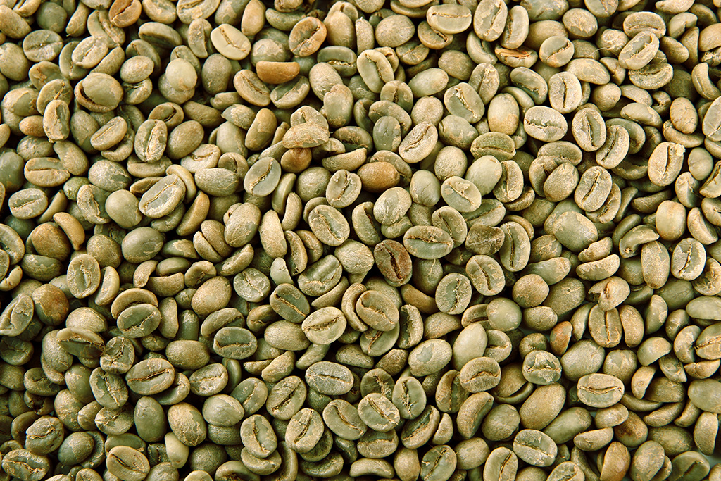 Siatec Brasil | Café verde: ¿cómo se determina la calidad en Brasil?