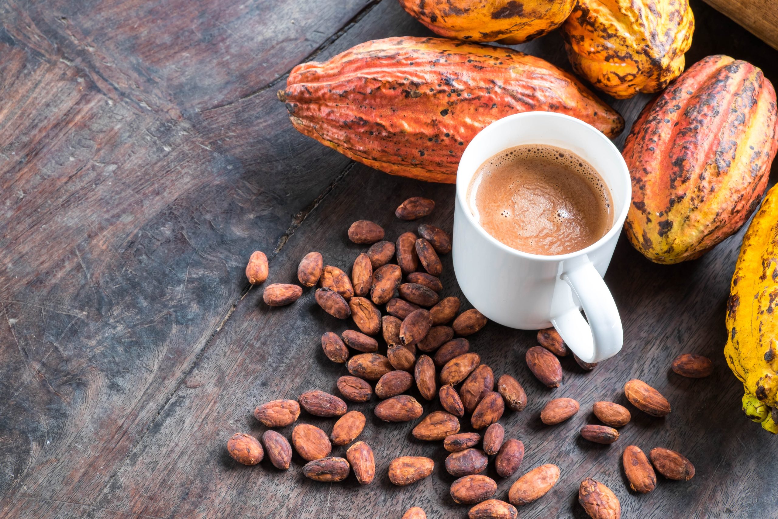 Siatec Brasil | Café y cacao: descubre algunas similitudes
