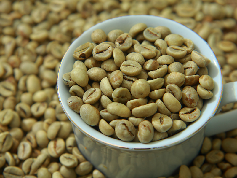Siatec Brasil | Green Coffee Classification: Understanding the Process